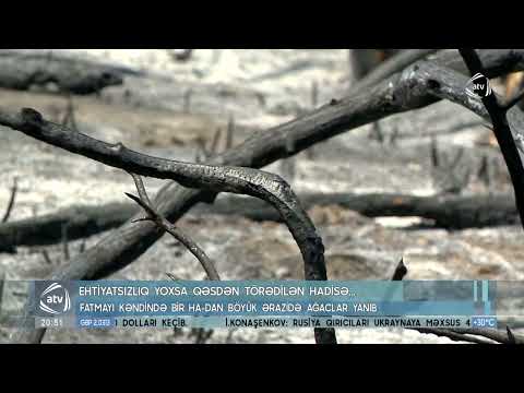 Fatmayi kəndində bir hektardan böyük ərazidə ağaclar yanıb