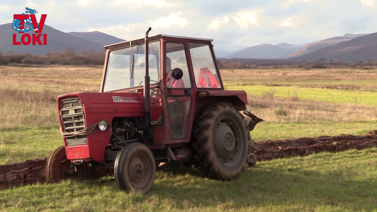 Tractor IMT 542 - oranje - YouTube