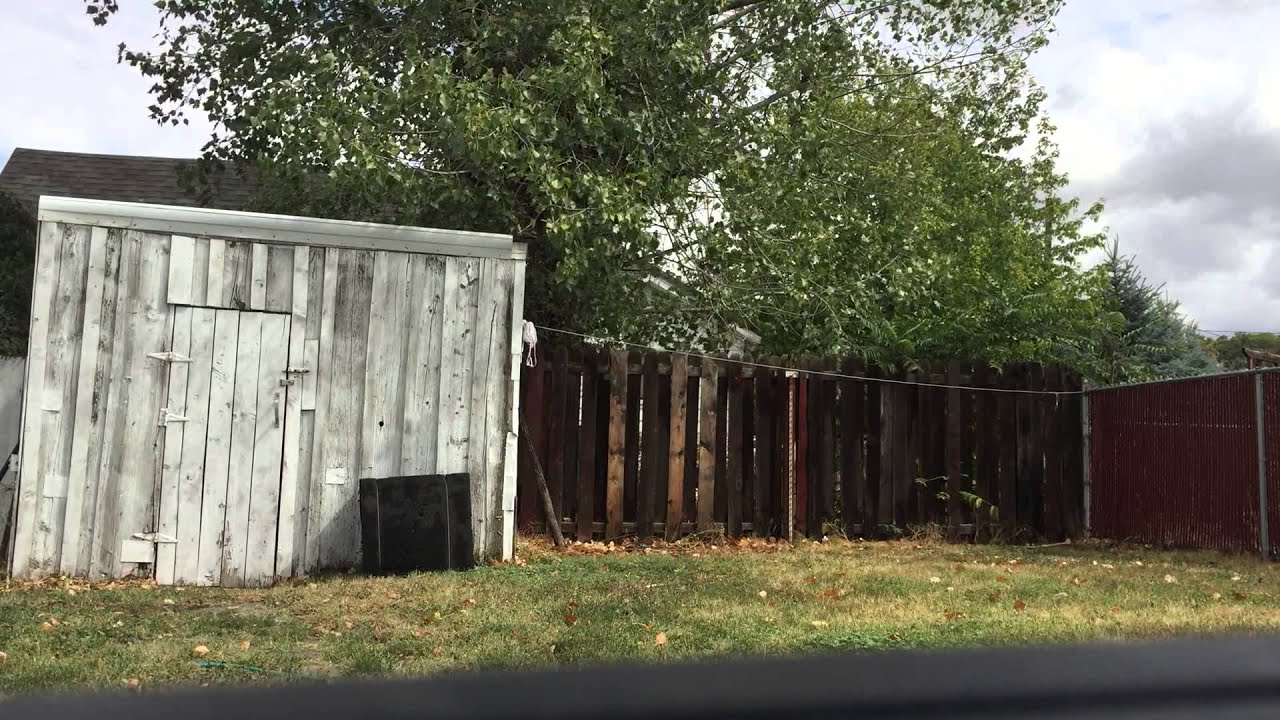 Hackberry selfbow - YouTube