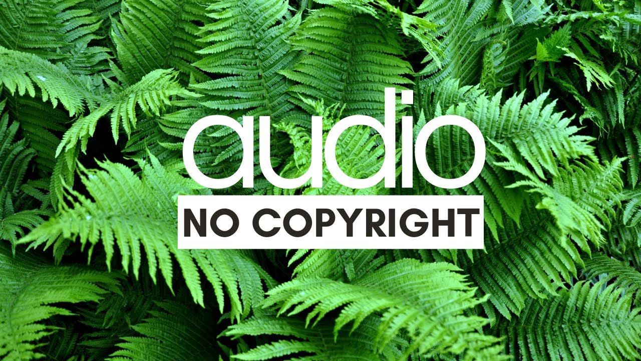 Busy City - TrackTribe ( Sound Audio No Copyright Music ) - YouTube