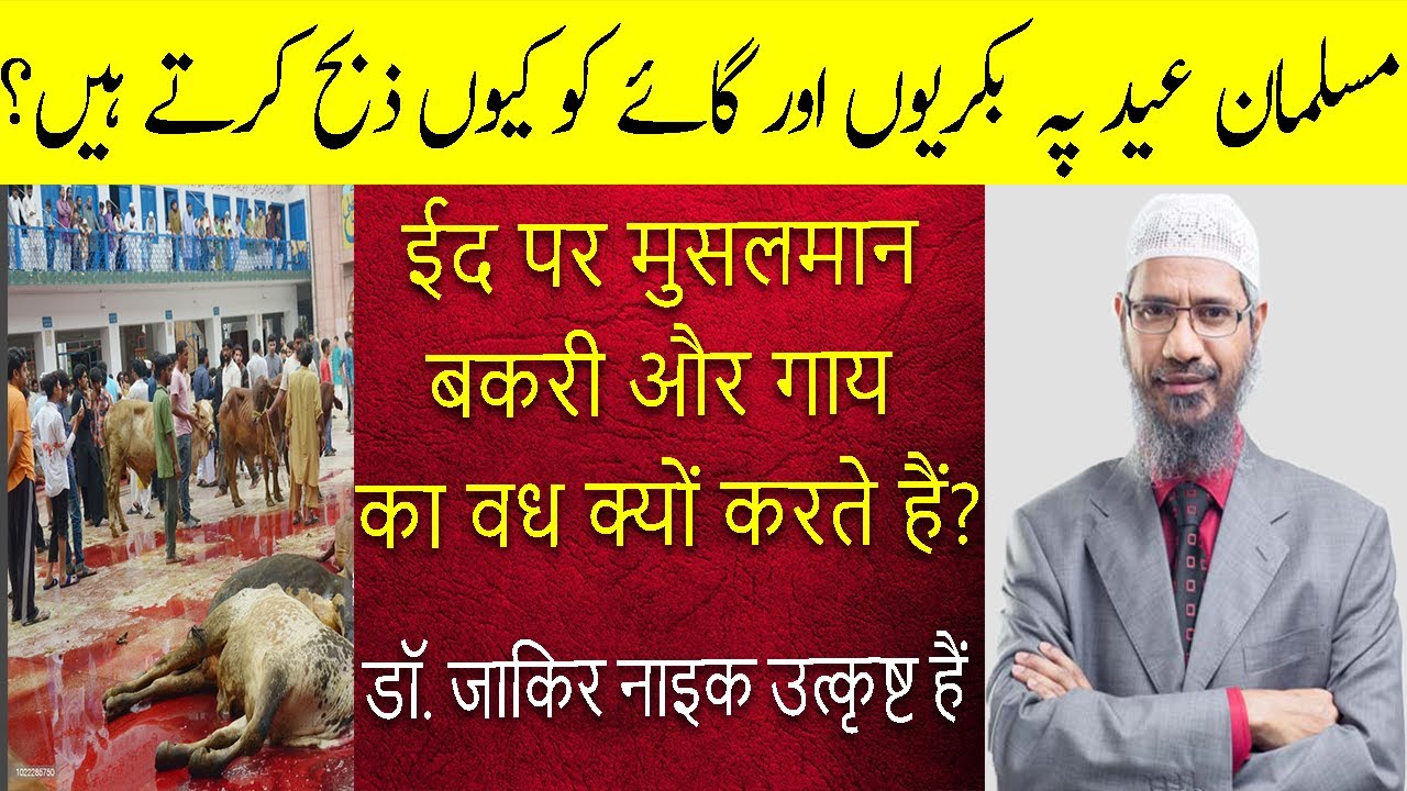 Muslims eid par bakrion or cow ko q zibha krty hain | Dr Zakir Naik ...