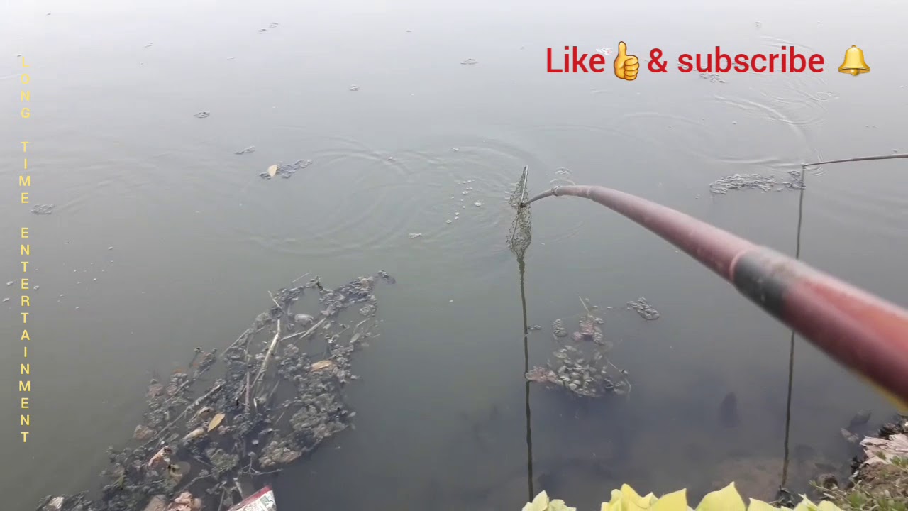 Setrum ikan pdc. 1000w irit aki hasil maximal - YouTube