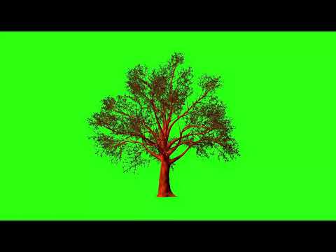 Plants growing, and dollars plant green screen