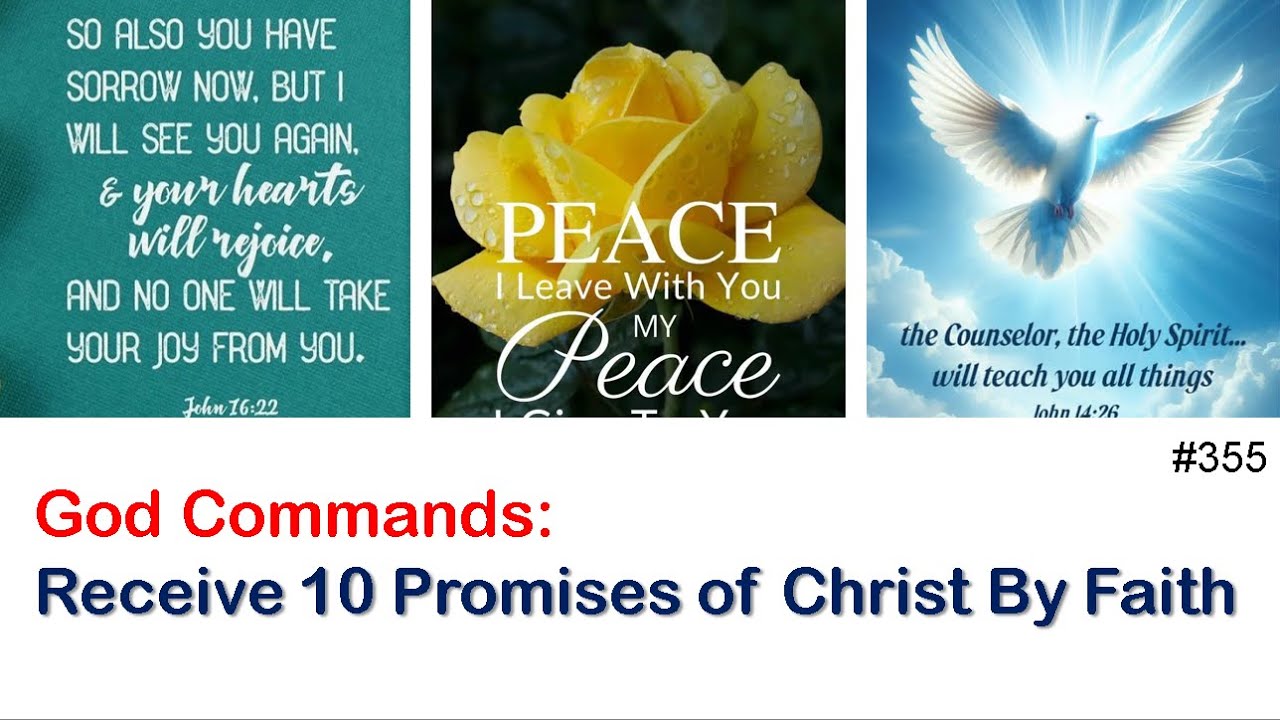 355 - God Commands - Receive 10 Promis Of Christ By Faith #promise # ...
