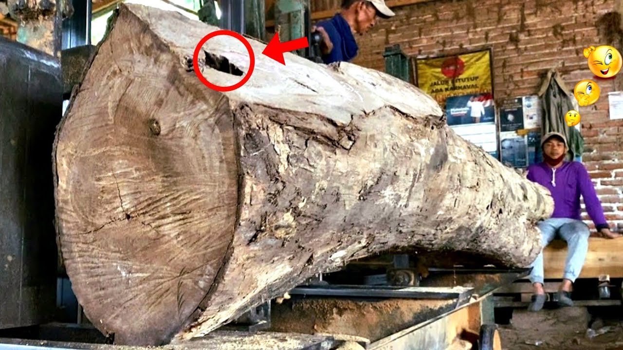 The Sawmill Master's Impossible Challenge: Sawing Bent Teak Wood into ...