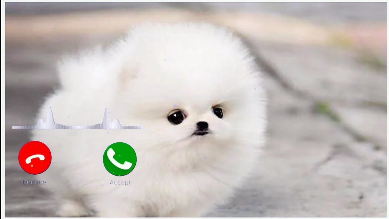 funny voice sms tone || cute baby voice sms tone || trending ringtone ...
