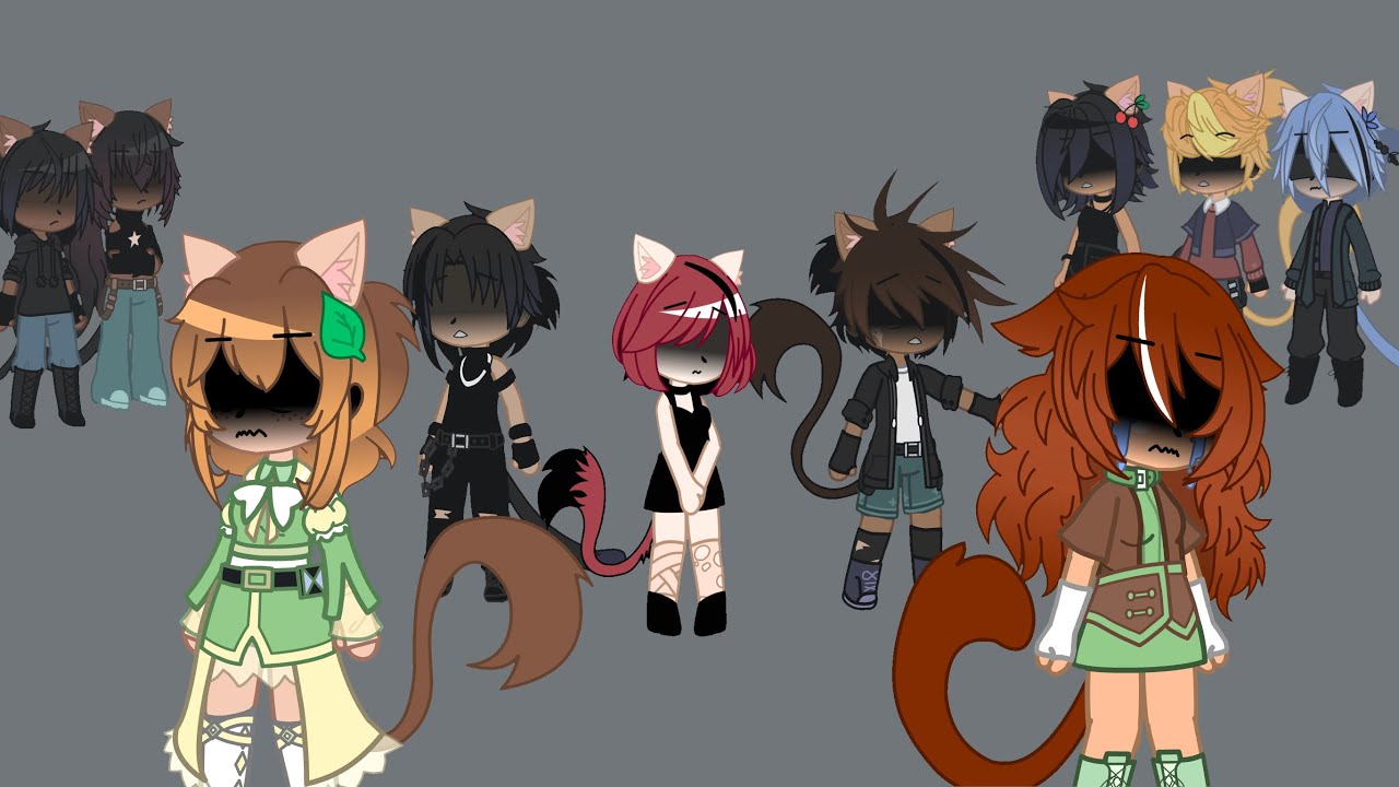 Traitor | Warrior Cats Cold anger AU | Leafpool & Squirrelflight Gcmv ...