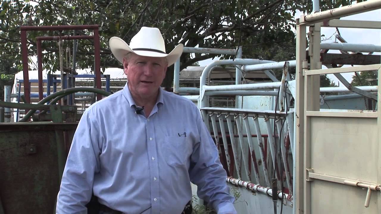 Ron Gill - BQA - Mixing Modified Live Vaccines - YouTube