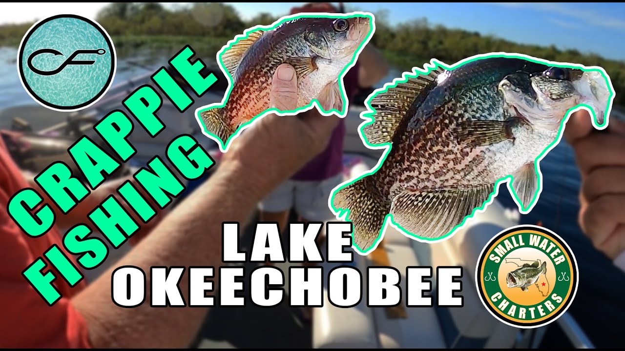 CRAPPIE FISHING LAKE OKEECHOBEE WITH SMALL WATER CHARTERS. We Call It ...