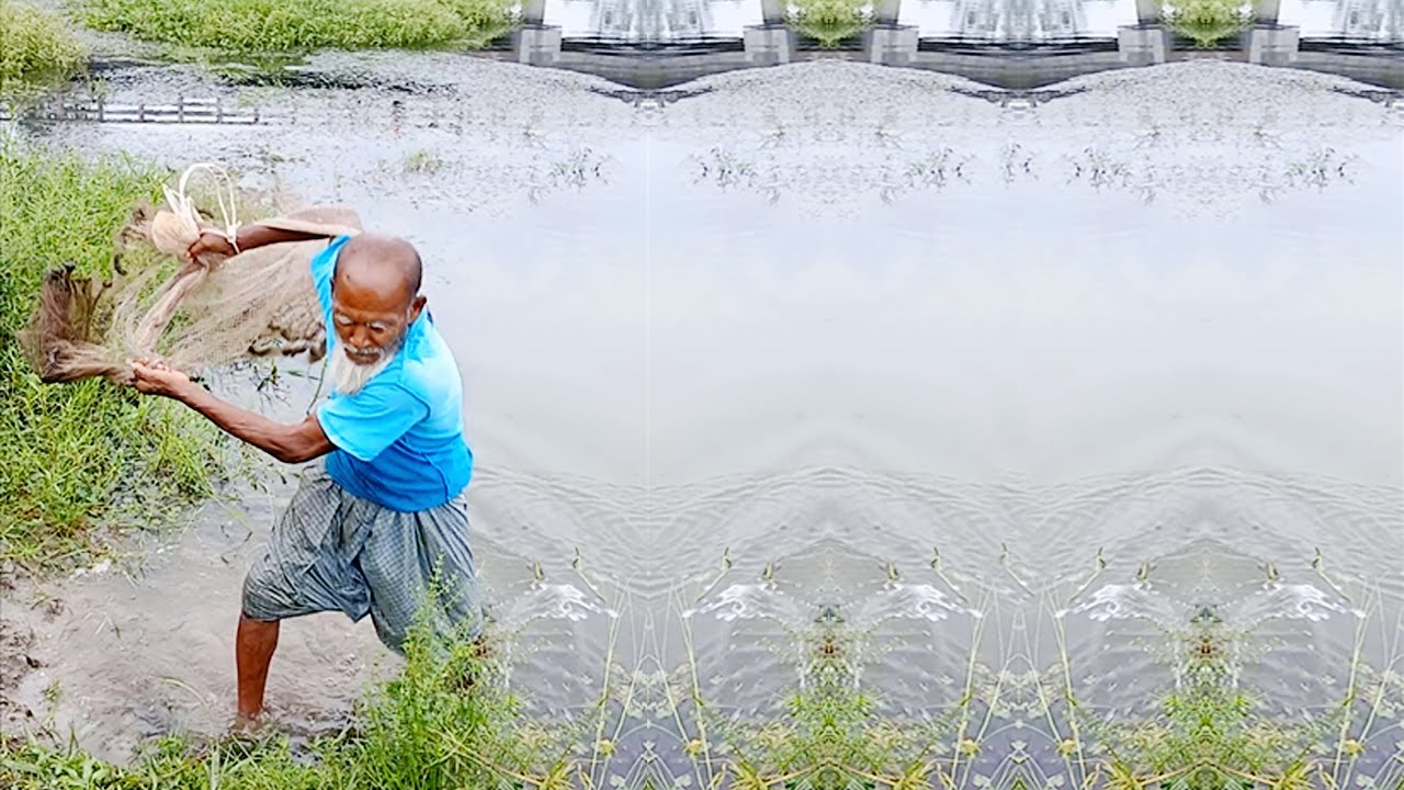 Vary Amazing Net Fishing Skill - Beautiful Nature With Rural Fishing ...