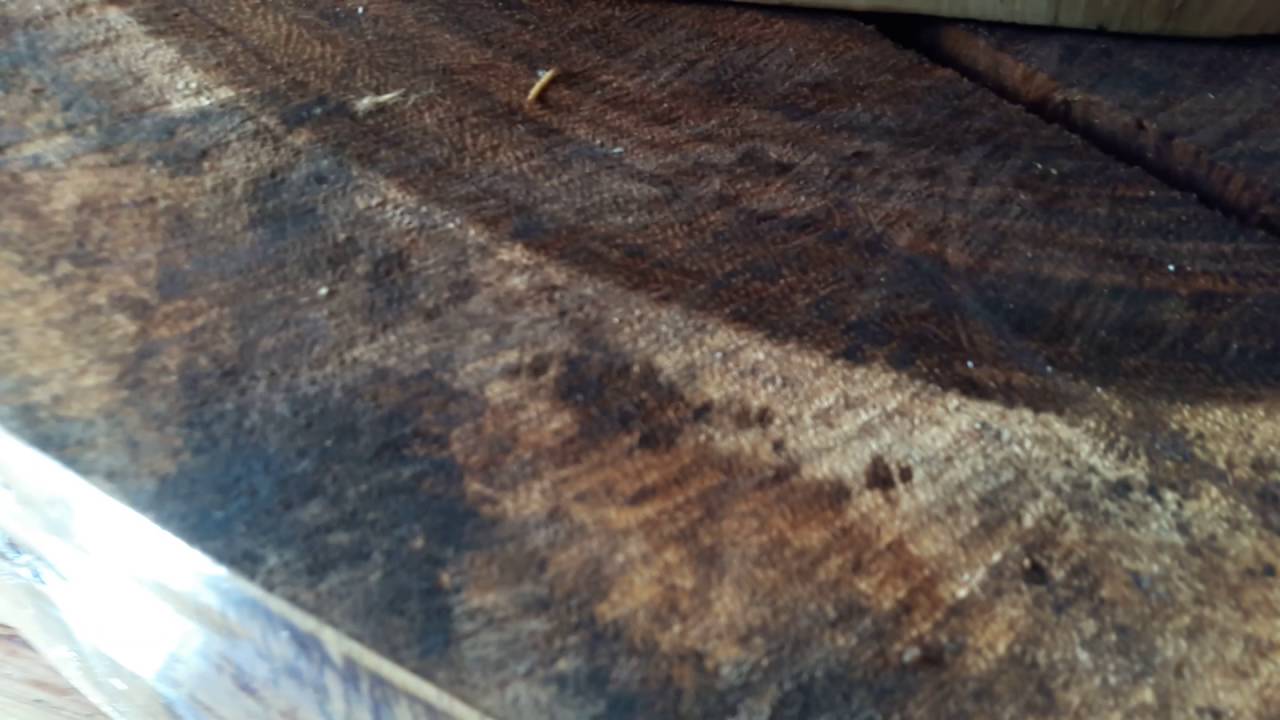 Como tratar la madera para la polilla - YouTube