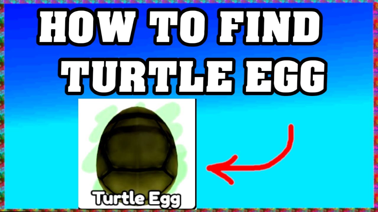 How To Find TURTLE EGG in FIND THE TURTLES ROBLOX 🐢 [walkthrough] - YouTube