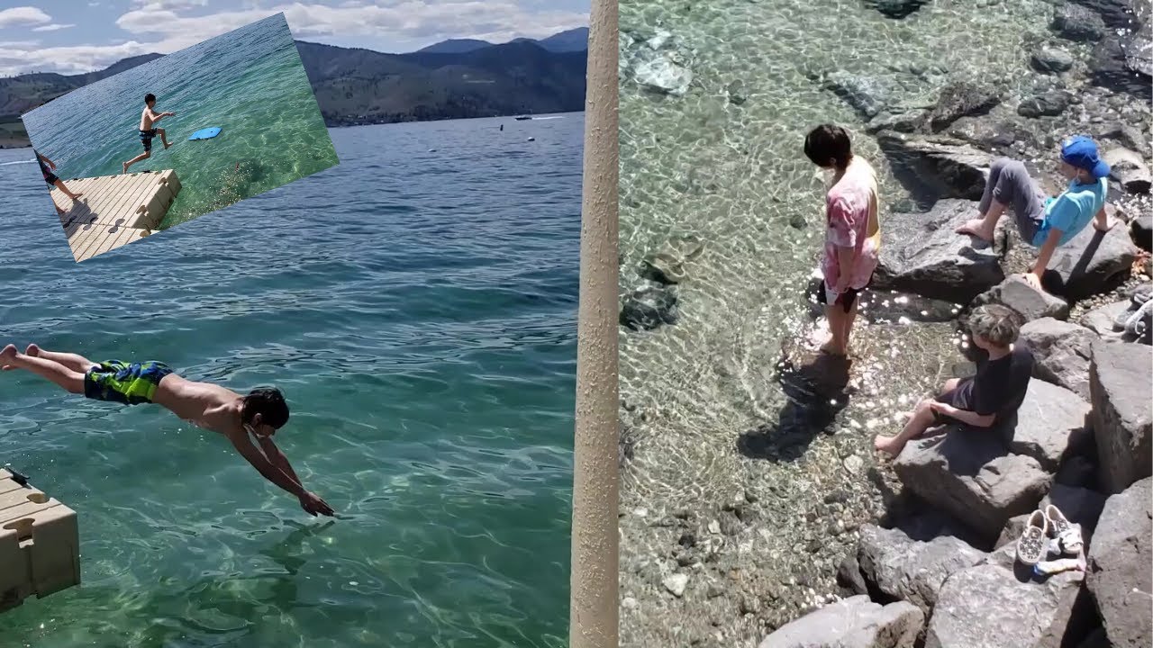 BIG FISH UP CLOSE I COLD LAKE SWIMMING - YouTube