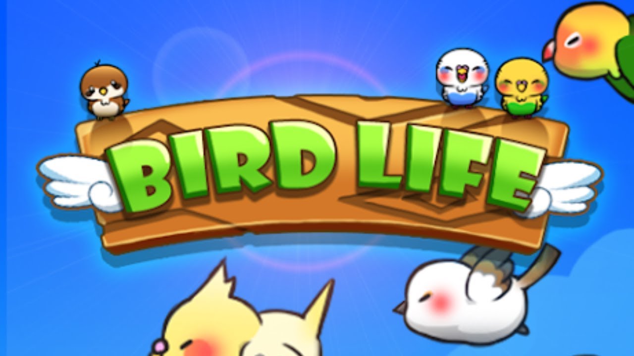 Bird Life Mobile Game | Gameplay Android - YouTube