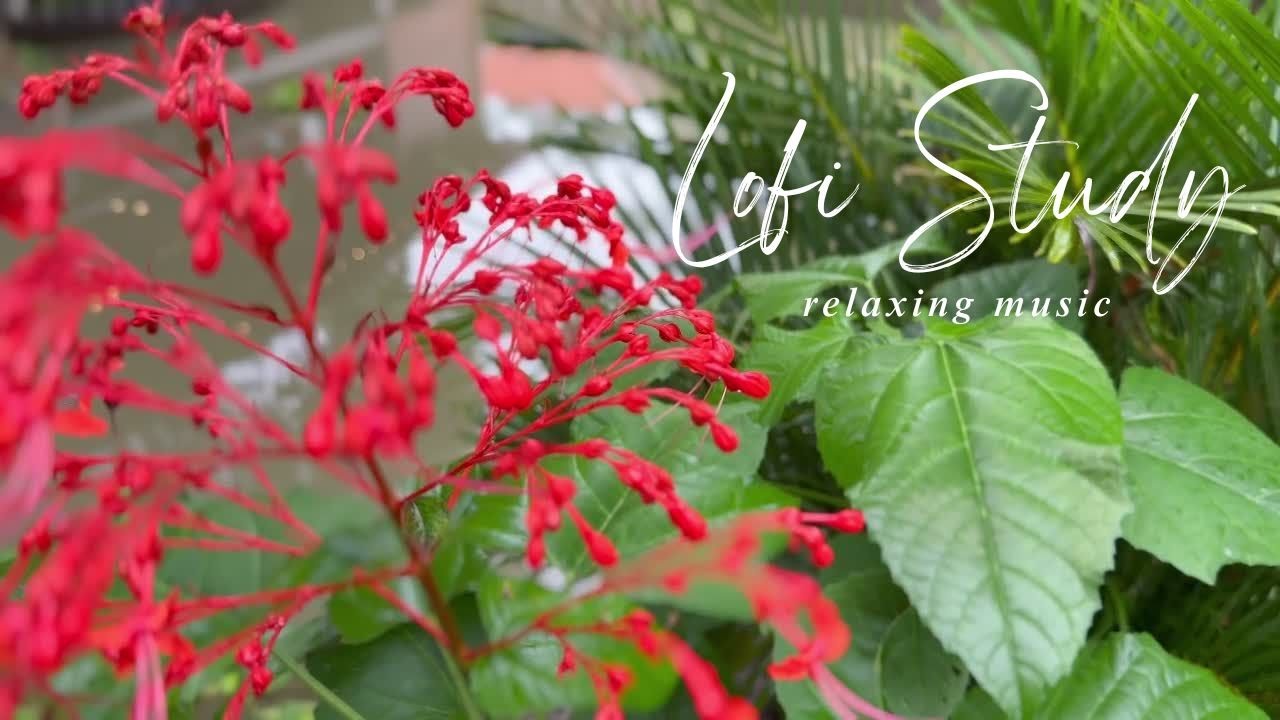 WARNING Using the Wrong Music Could RUIN Your Focus - YouTube