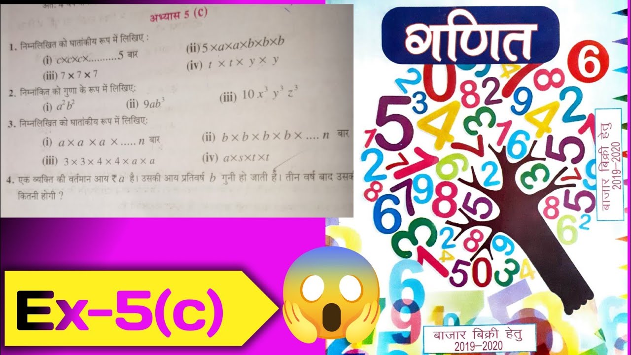 class 6 nacrt math solution// Exercise 5 c sarkari math complete hal ...