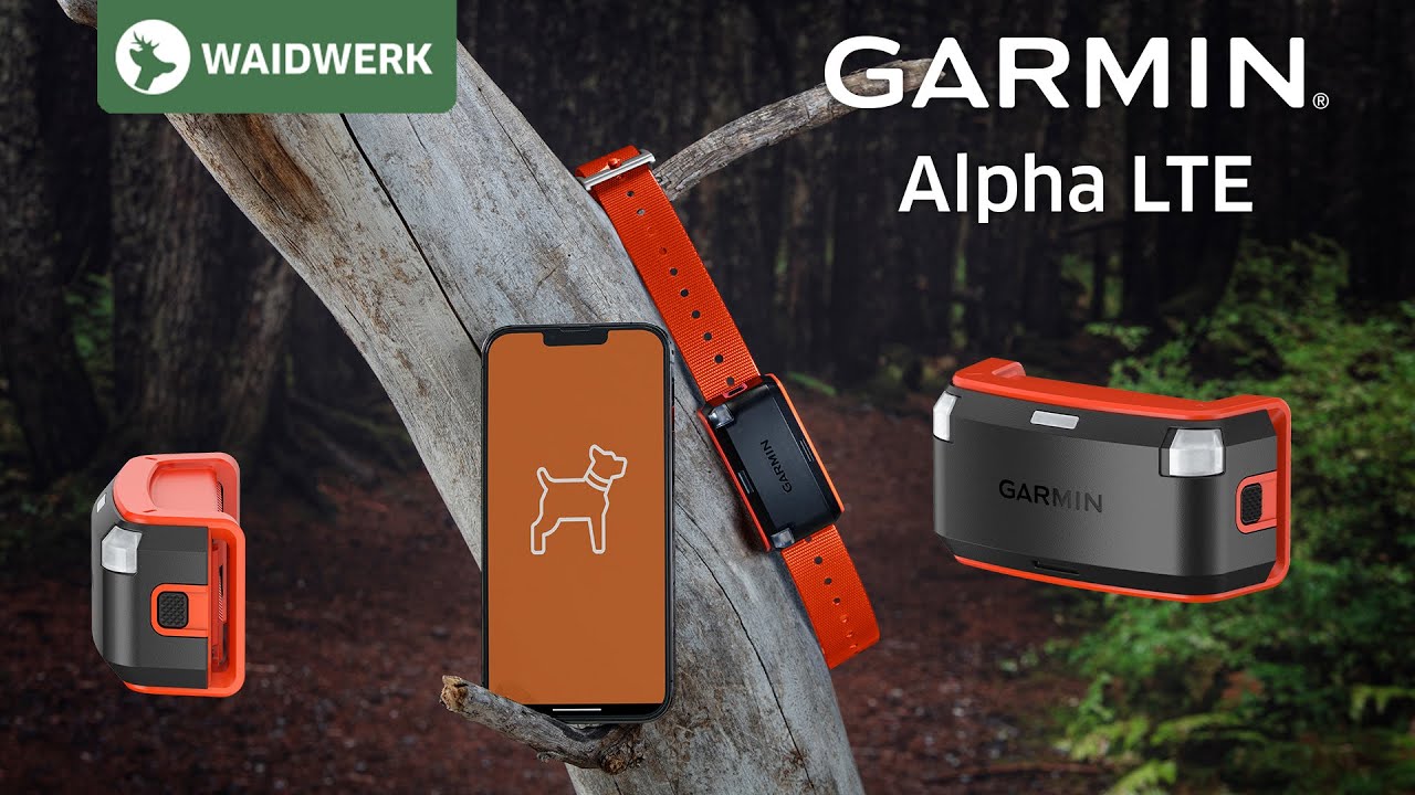 Alpha LTE - Hundeortung über das Mobilfunknetz - YouTube