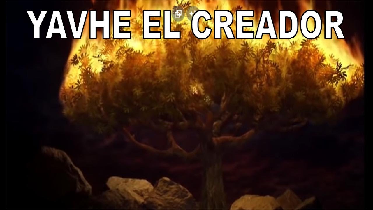YAVHE EL CREADOR - YouTube