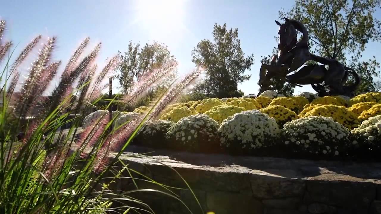 2015 Old Salem Farm Spring Horse Shows - YouTube