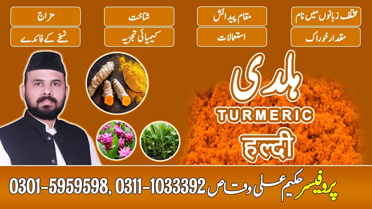 Haldi || ہلدی || हल्दी || Turmeric || Zard Chob || Ali Dawakhana(Hakeem ...