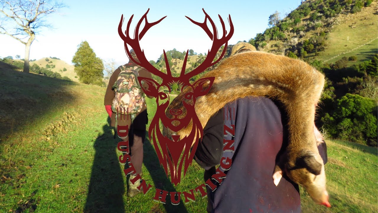 DEER HUNTING NZ (Meat Hunt With Haki) - YouTube