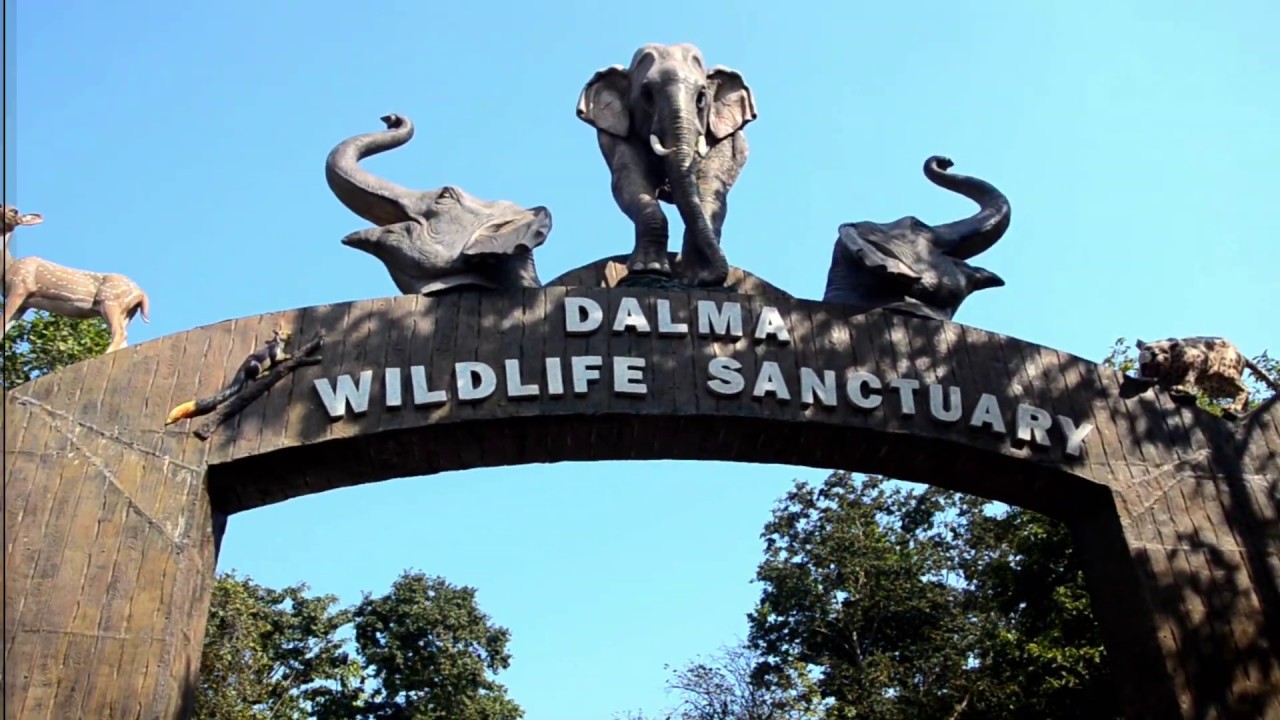 DALMA WILDLIFE SANCTUARY || DALMA HILLS || TATA || JHARKHAND - YouTube