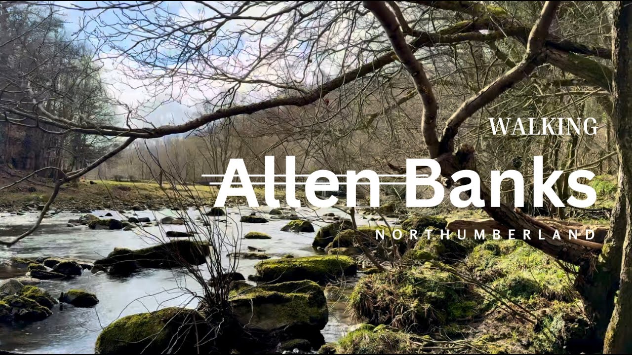 Allen Banks Walk, Northumberland - YouTube