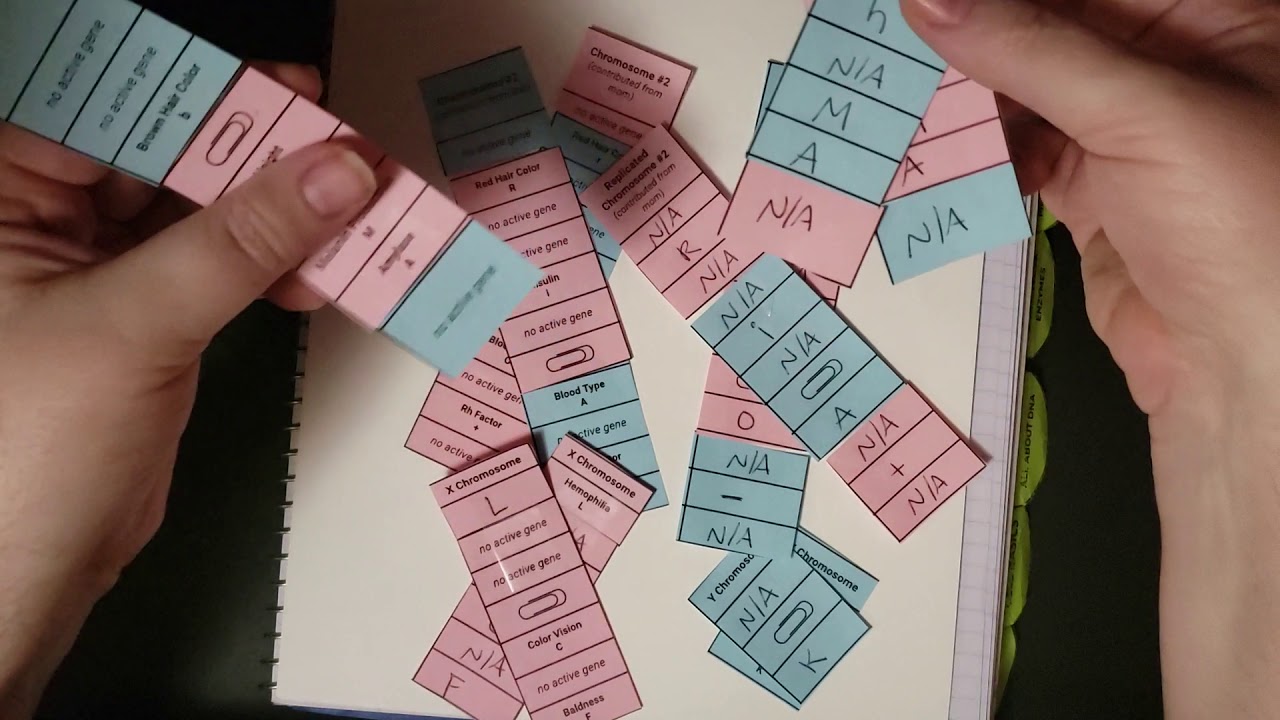 Class Instructions 1/9/20 - Crossing Over Activity - YouTube