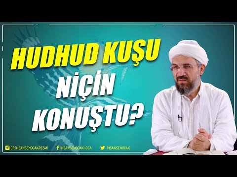 Hudhud Kuşu Niçin Konuştu? | İhsan Şenocak