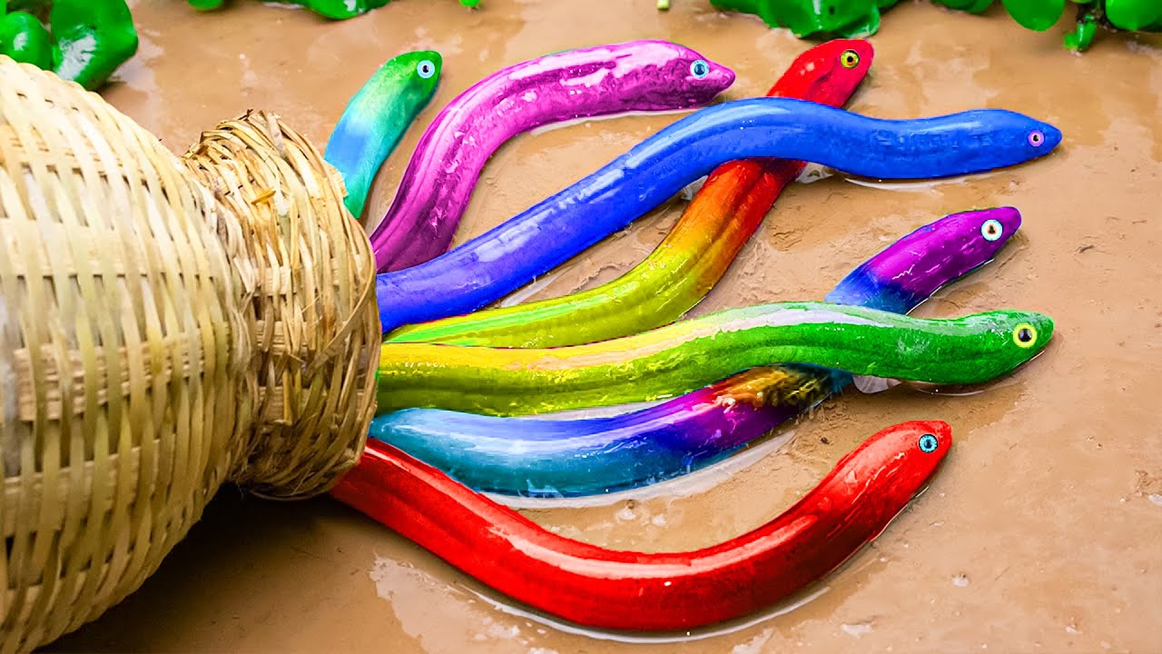 Stop Motion Fish In Mud | Battle Koi With Huggy Wuggy And Crocodile ...