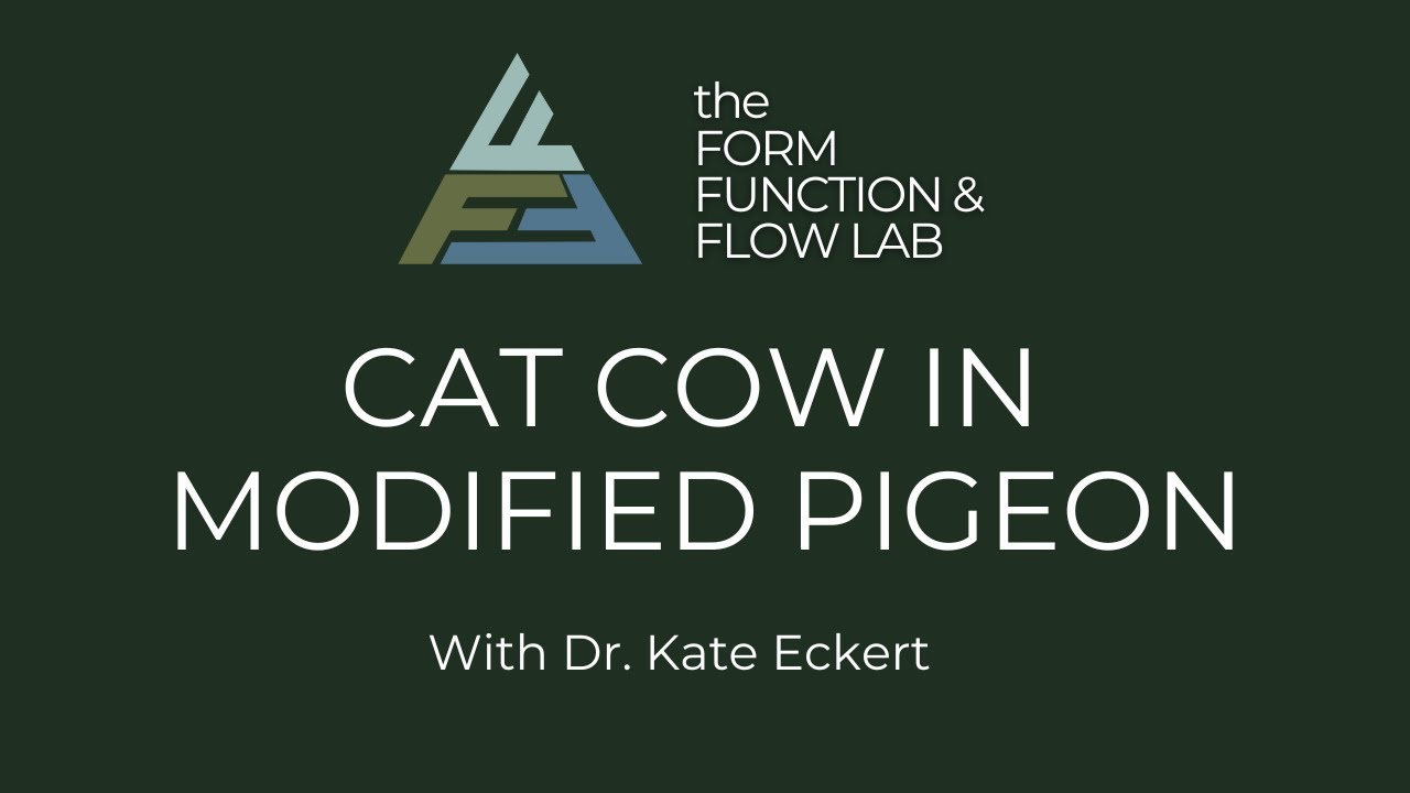 Cat Cow in Modified Pigeon - YouTube