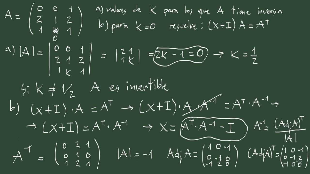 5. Ejercicio 5 determinante / matriz: hallar k para que la matriz sea ...