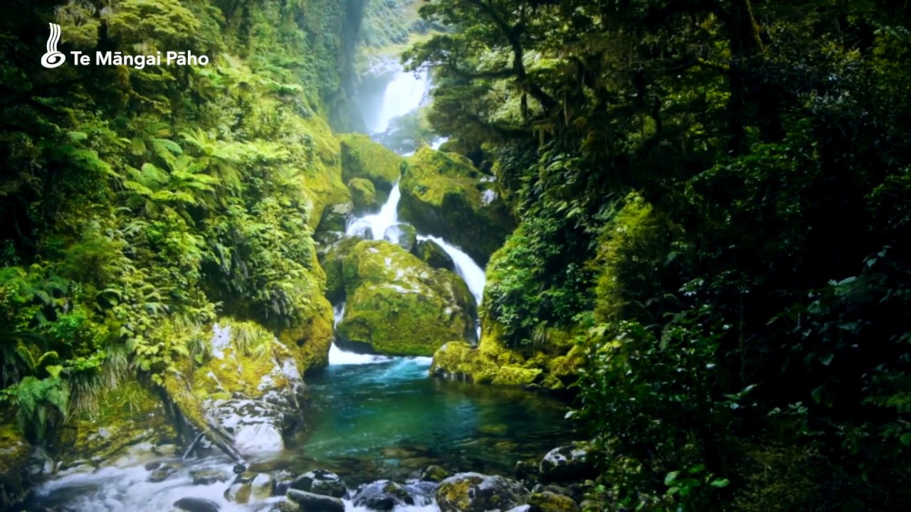 Huia - Tui Tuia (Music Video) - YouTube