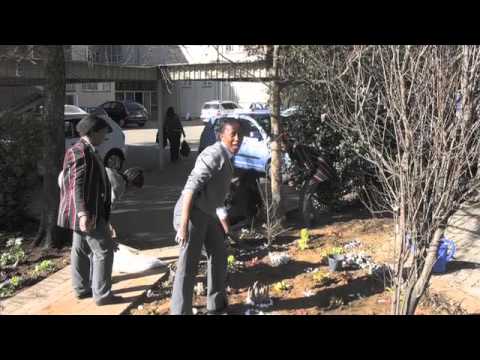 Greening for Change by General Smuts High School - YouTube