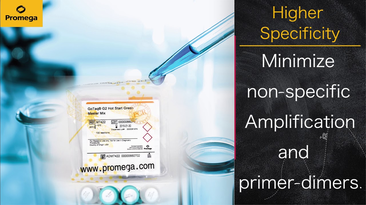 GoTaq hot Start master mix - YouTube