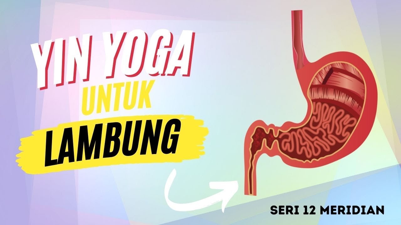 YIN YOGA UNTUK LAMBUNG - SERI 12 MERIDIAN - TCM - YouTube