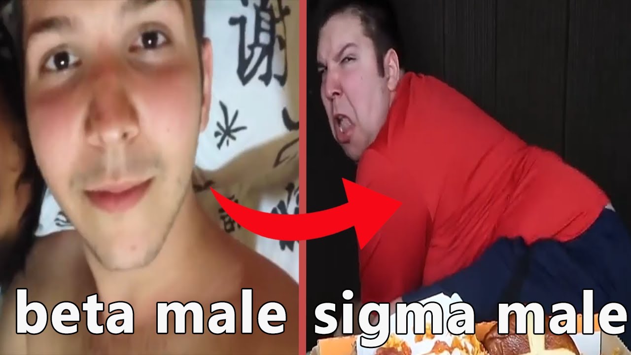nikocado avocado glow up sigma male - YouTube
