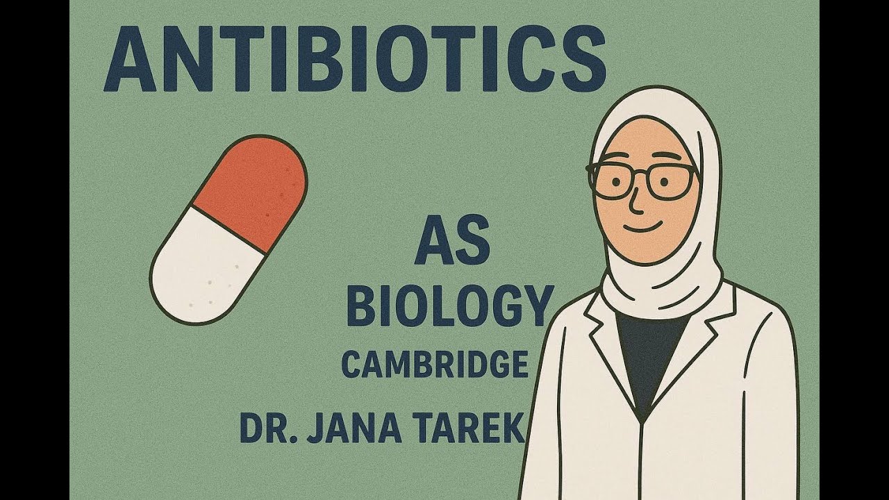 Antibiotic and antibiotic resistance ch 10 infectious diseases - YouTube