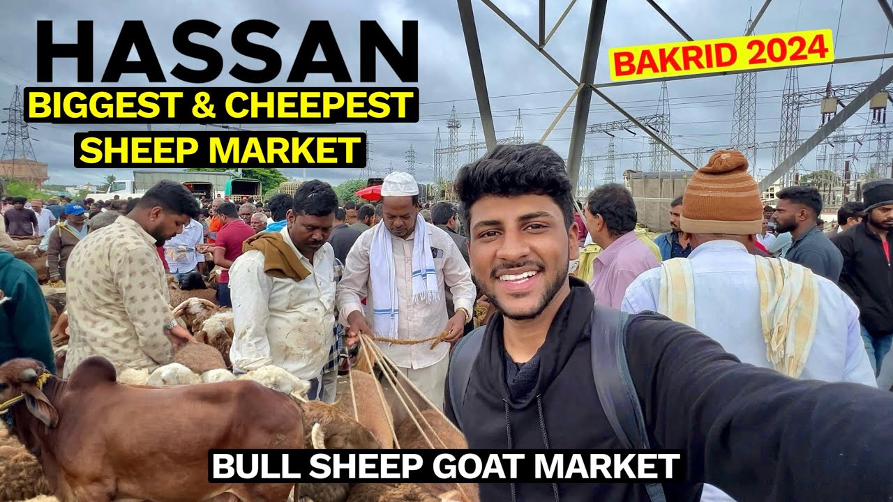 Hassan Sheep Market 2024 🐑🤩 - YouTube