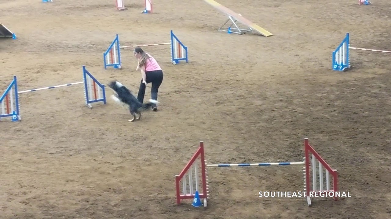 Gambit - A Year of Agility - 2019 - YouTube