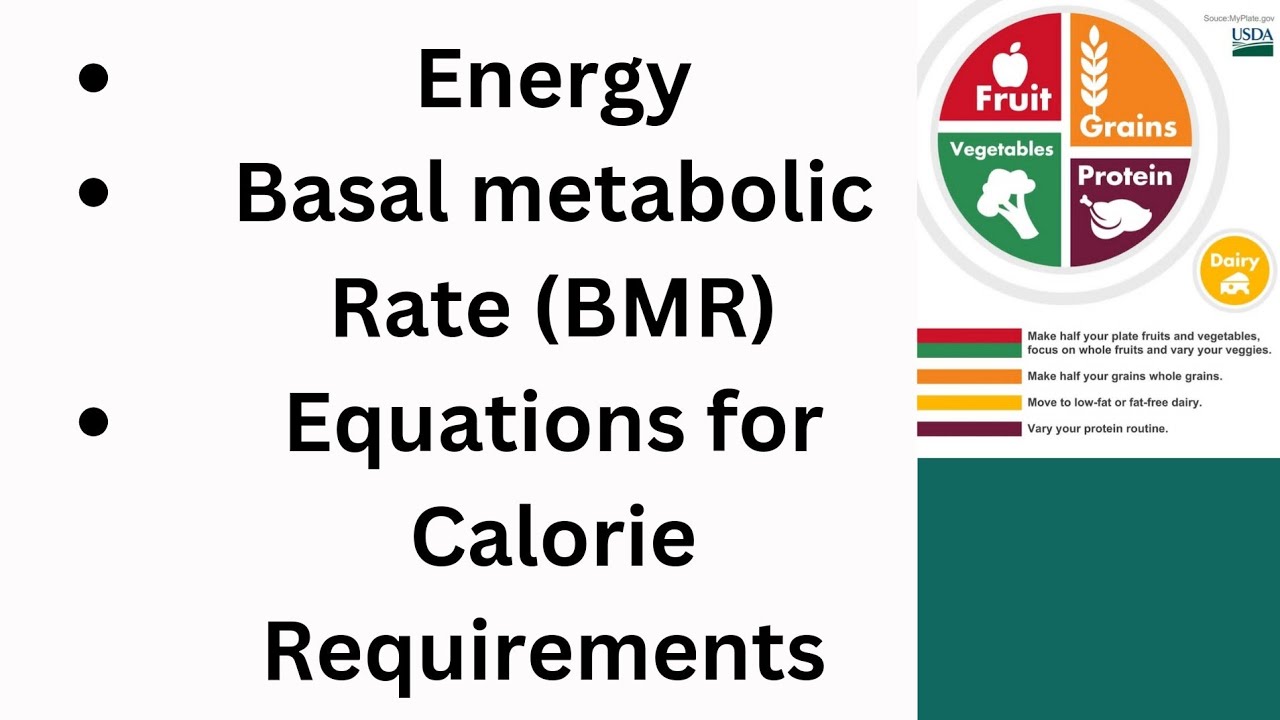 Energy, BMR and BMR calculation Equations - YouTube