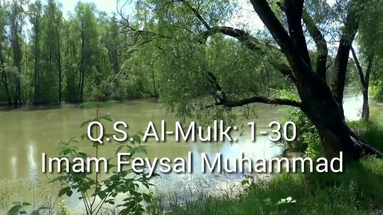Heart Touching Recitation-Al Mulk-Imam Feysal Muhammad - YouTube