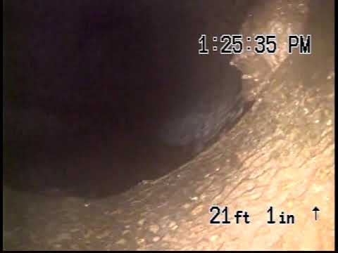 Jinny Chang - YouTube