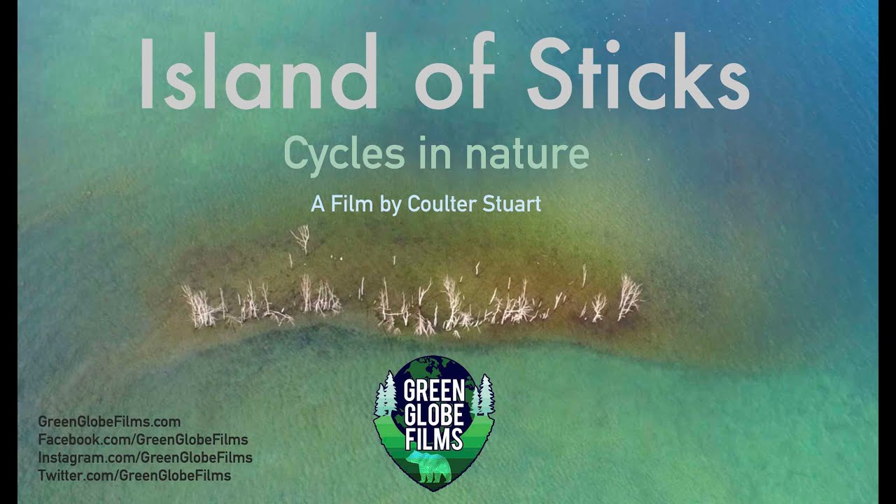 Island of Sticks, Cycles in Nature - YouTube