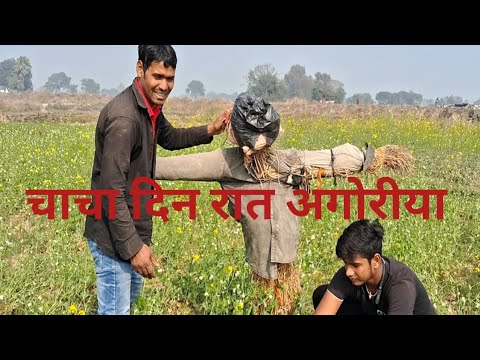 खेत में चाचा रात दिन खारा रहता || khet me chacha rat din || Vimlesh saroj 3966 comedy video ...