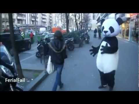 Panda Bear random FAIL! in HD || Short Fails 2013