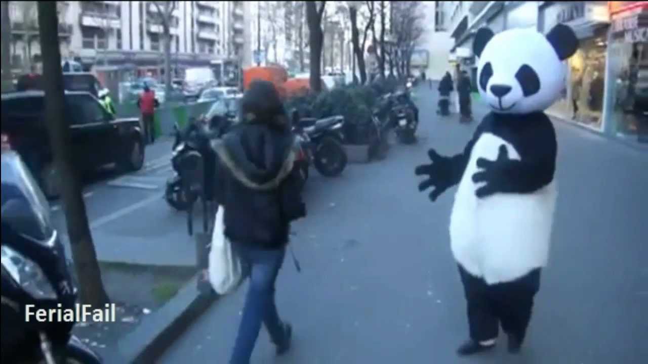 Panda Bear random FAIL! in HD || Short Fails 2013 - YouTube