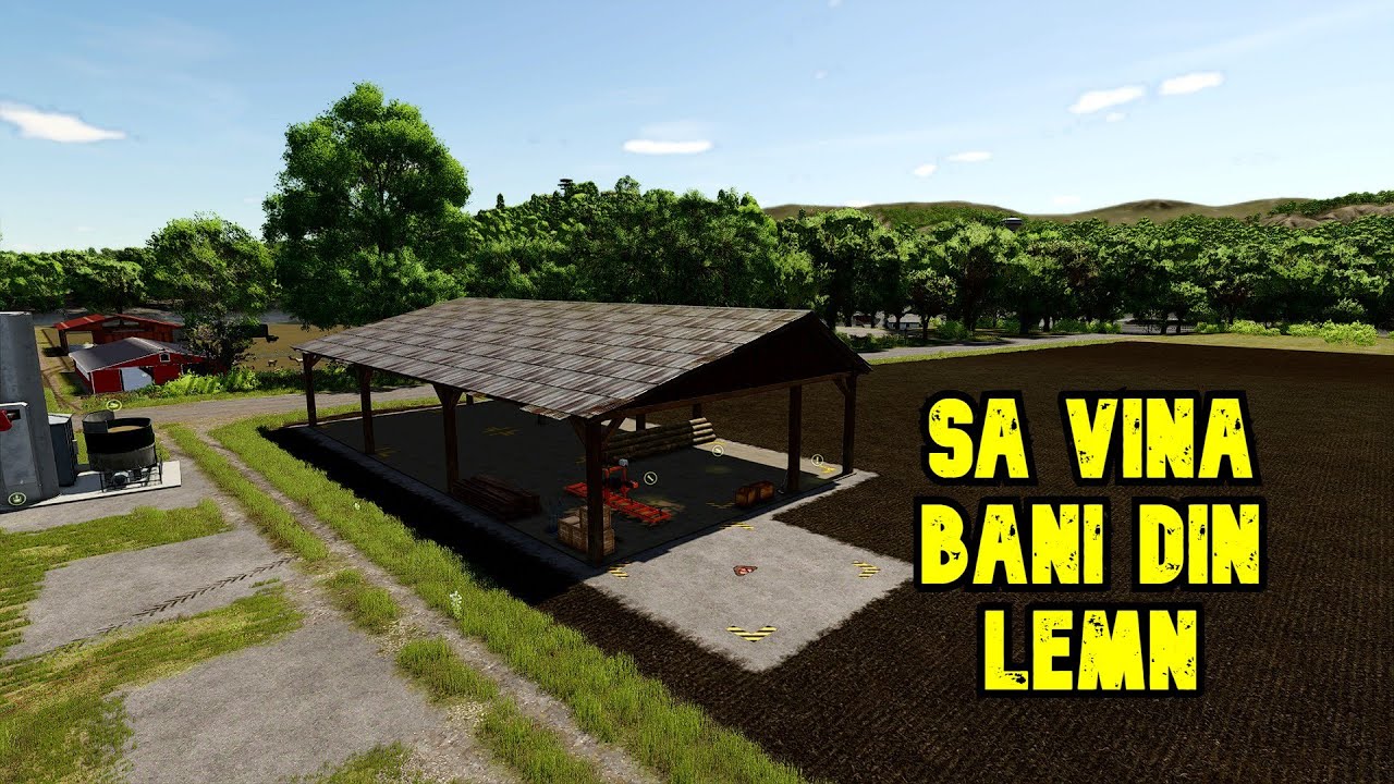 FS 25 AM CUMPARAT O FARBRICA DE LEMN SA VINA BANI - YouTube