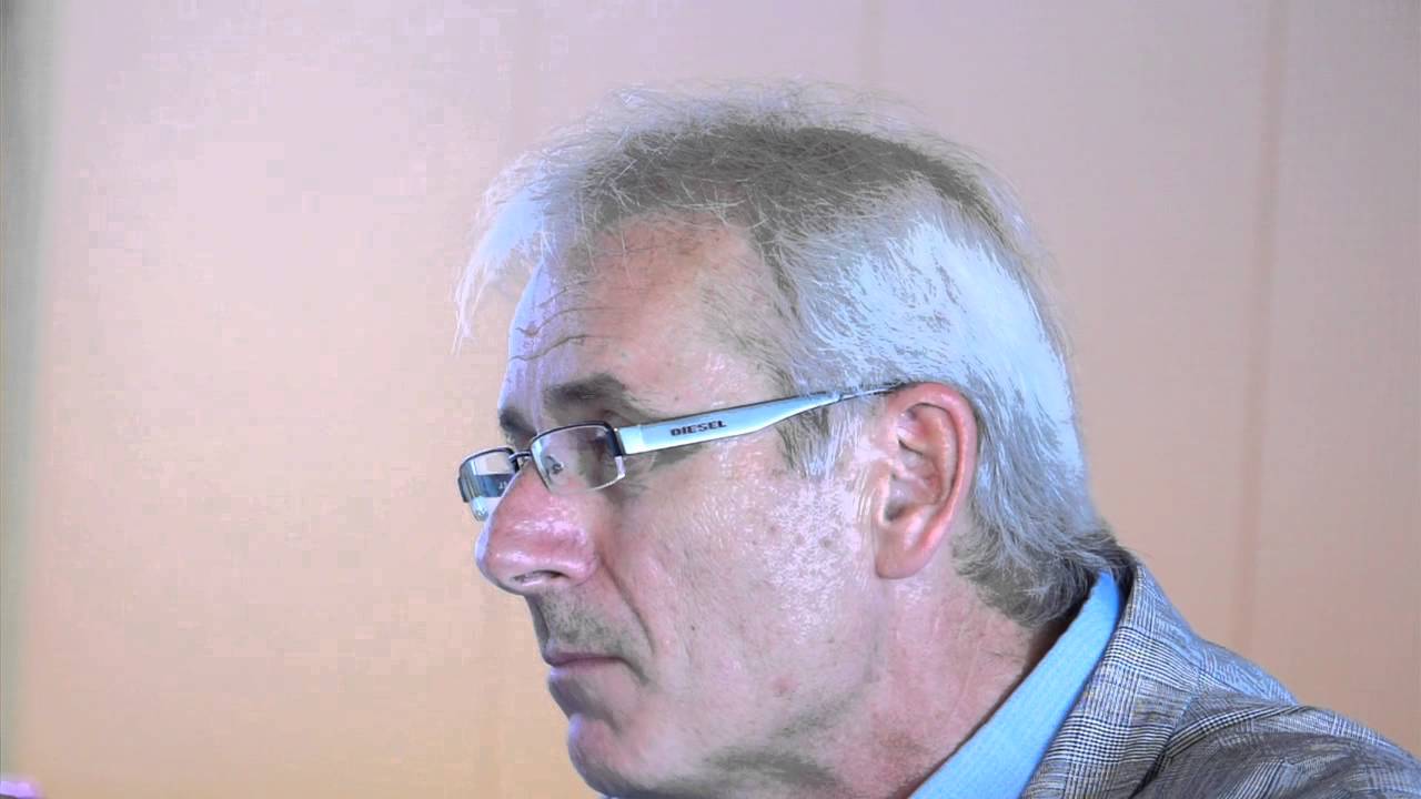 Interview with Professor Roy - YouTube