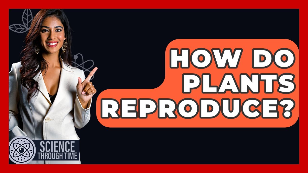 How Do Plants Reproduce? - Science Through Time - YouTube